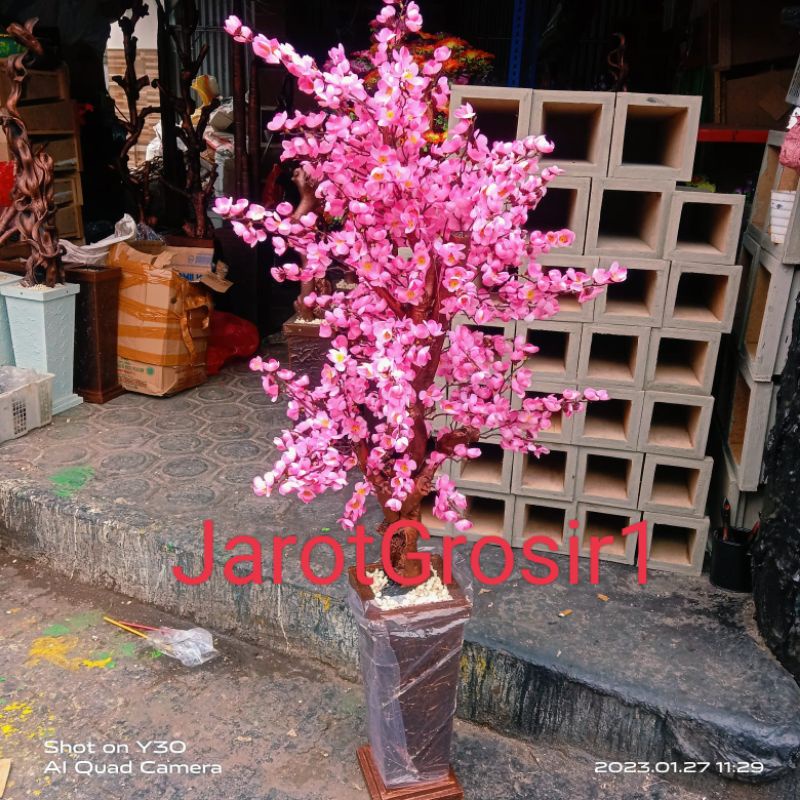 Jual HIASAN SUDUT RUANGAN SAKURA+POT // SAKURA TINGGI 140CM RIMBUN ...