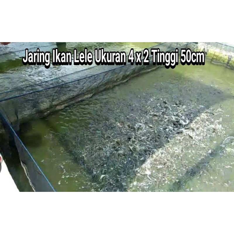 Jual Jaring Ikan / Keramba Apung Ukuran 2 x 4 Tinggi 50cm | Shopee ...