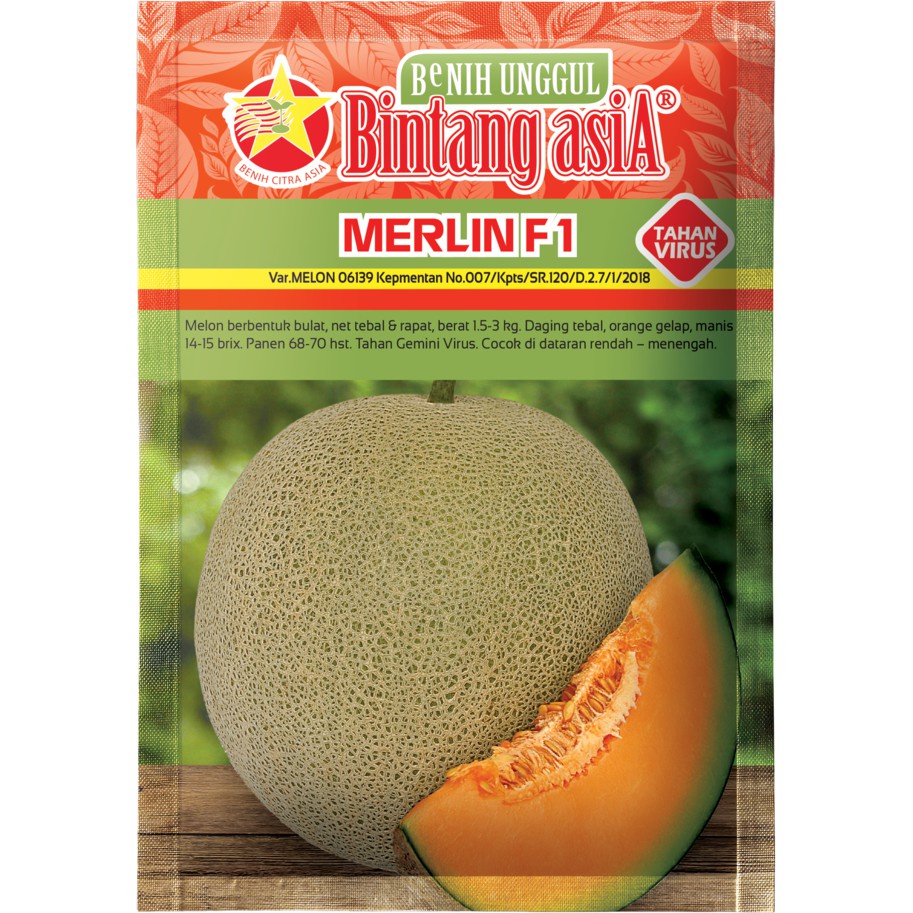 Jual Benih Melon MERLIN F1 20 Gram Cap Bintang Asia PT Benih Citra Asia ...