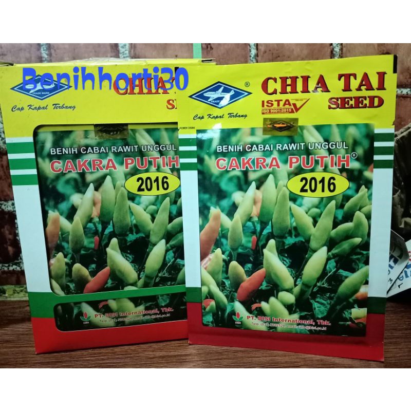 Jual Benih Cabe Rawit Cakra Putih isi 10 gram | Shopee Indonesia