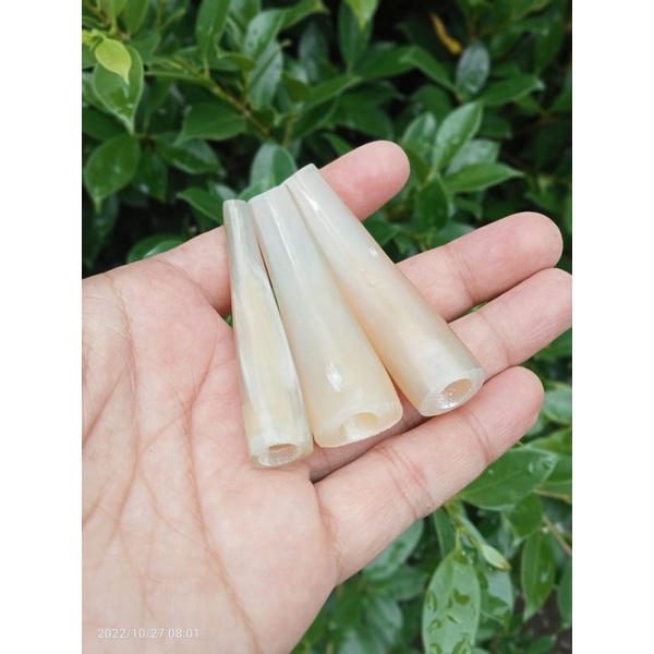 Jual once tanduk sapi bule paket 3 | Shopee Indonesia