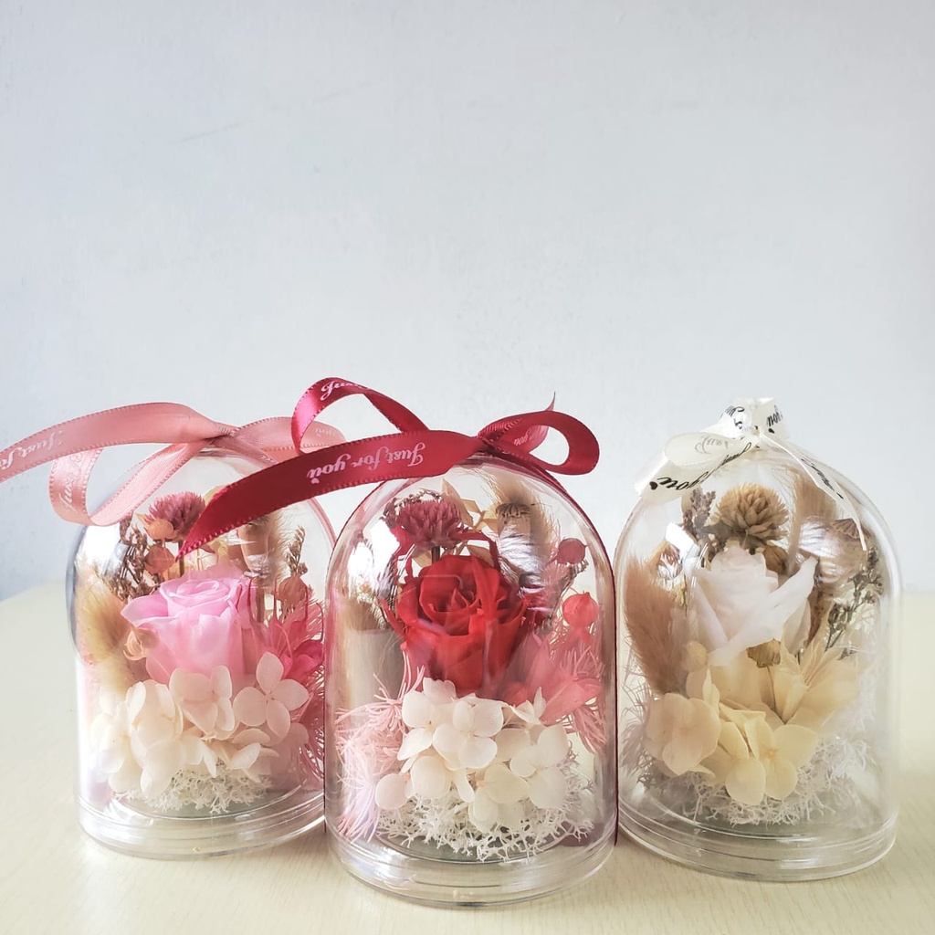 Jual Mini Preserved Rose Dome Dried Flowers | Shopee Indonesia