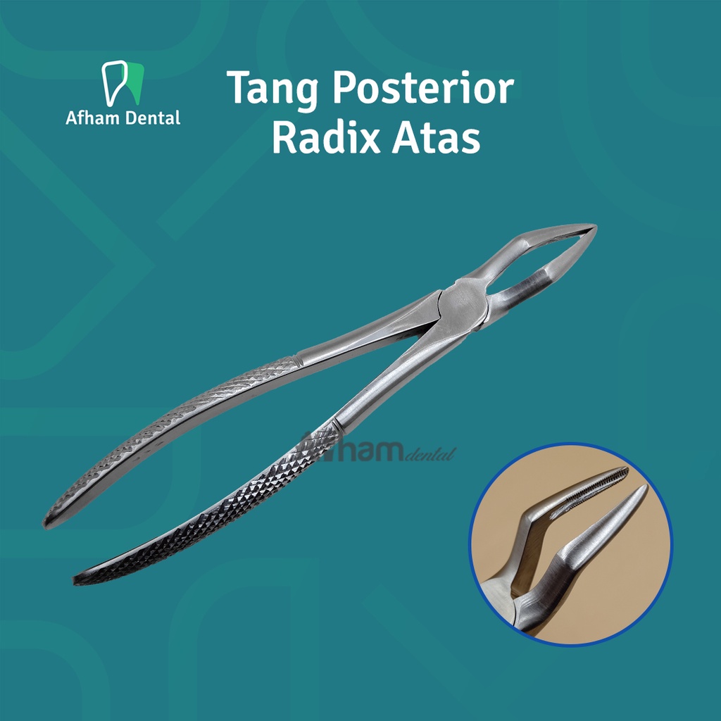 Jual DENTAL TANG CABUT GIGI DEWASA SATUAN ADULT TOOTH FORCEP / FORCEPT ...