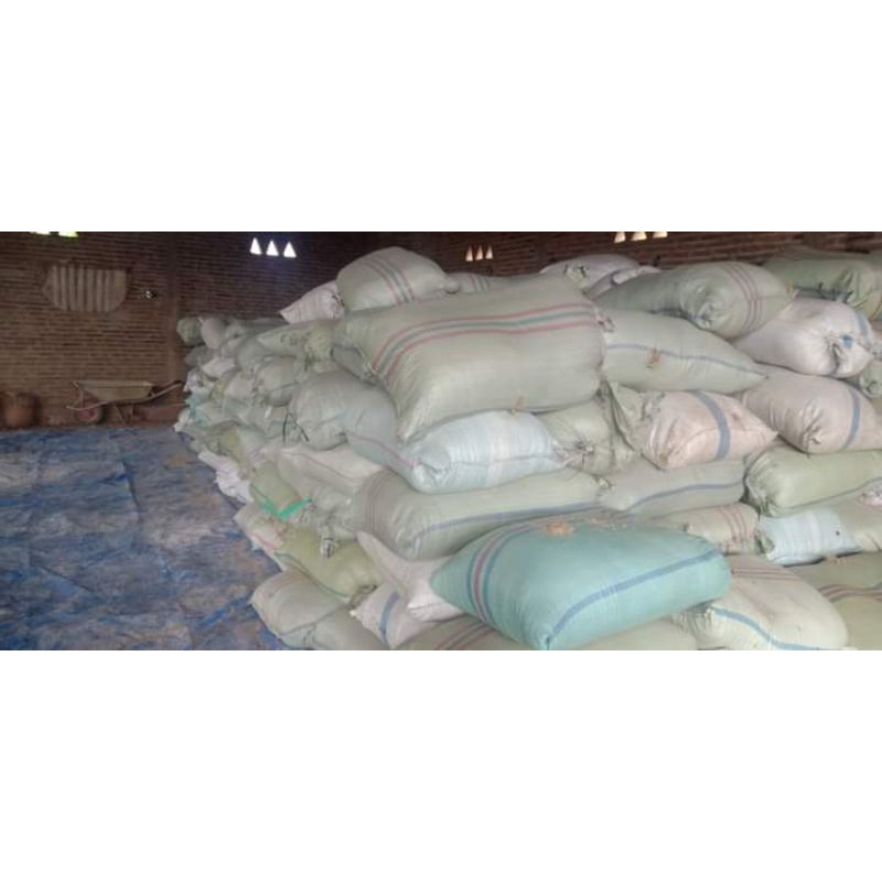 Jual Pongkol singkong kering | Shopee Indonesia
