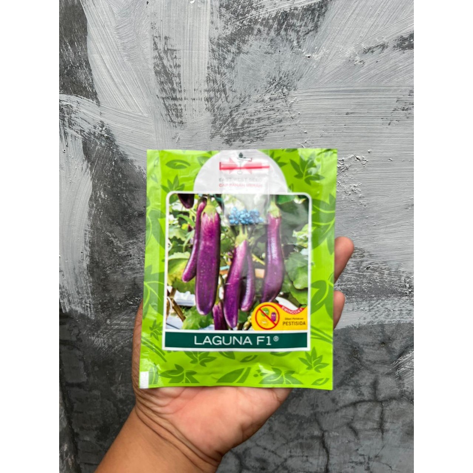 Jual Benih Bibit Terong Ungu LAGUNA F1 Cap Panah Merah - Kemasan Repack | Shopee Indonesia
