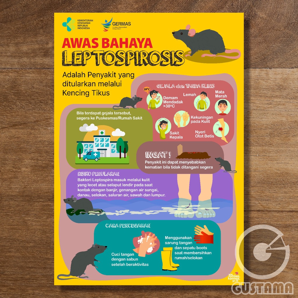 Jual Poster Waspada Leptospirosis, Poster Kesehatan Wipe and Clean A3+ | Shopee Indonesia