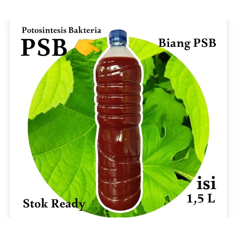 Jual Biang PSB Fotosintesis / Pupuk Organik Cair / Penyubur Tanaman Dan ...