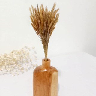 Jual Rayung Stick Pampas Panjang 1,5 Meter (1 ikat isi 3 batang ...