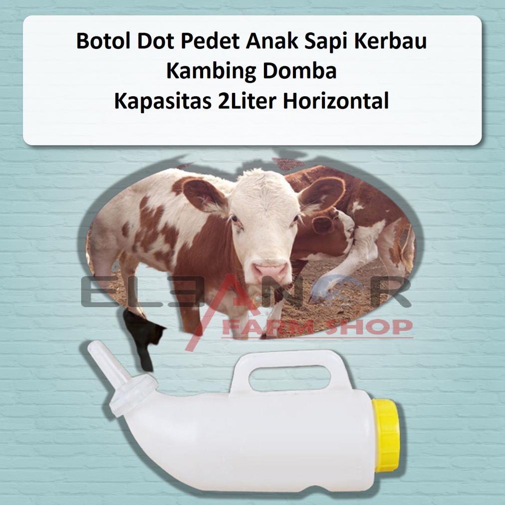 Jual Botol Dot Pedet Anak Sapi Kerbau Kambing Domba Kapasitas 2Liter ...