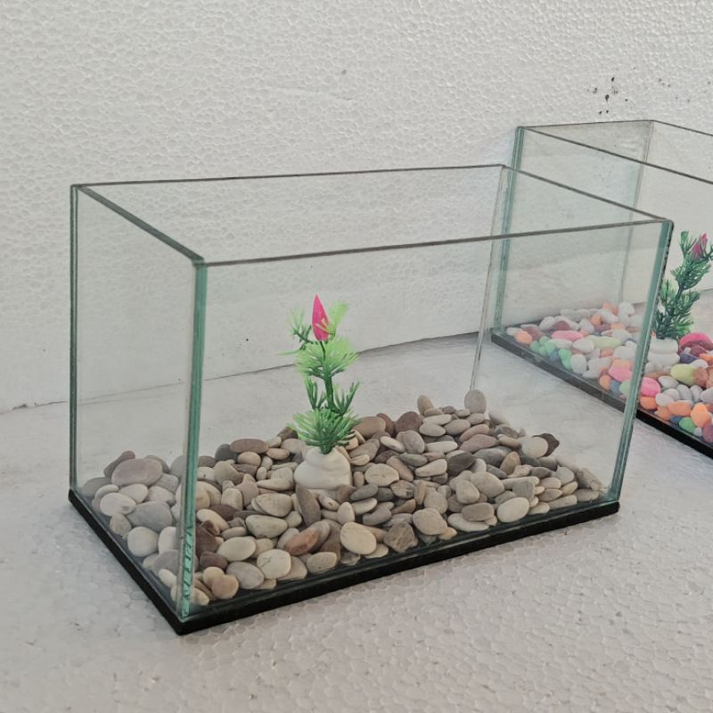 Jual AQUARIUM CUSTOM CHANA CUPANG UK. 20x10x12 CM AQUARIUM MINI ...