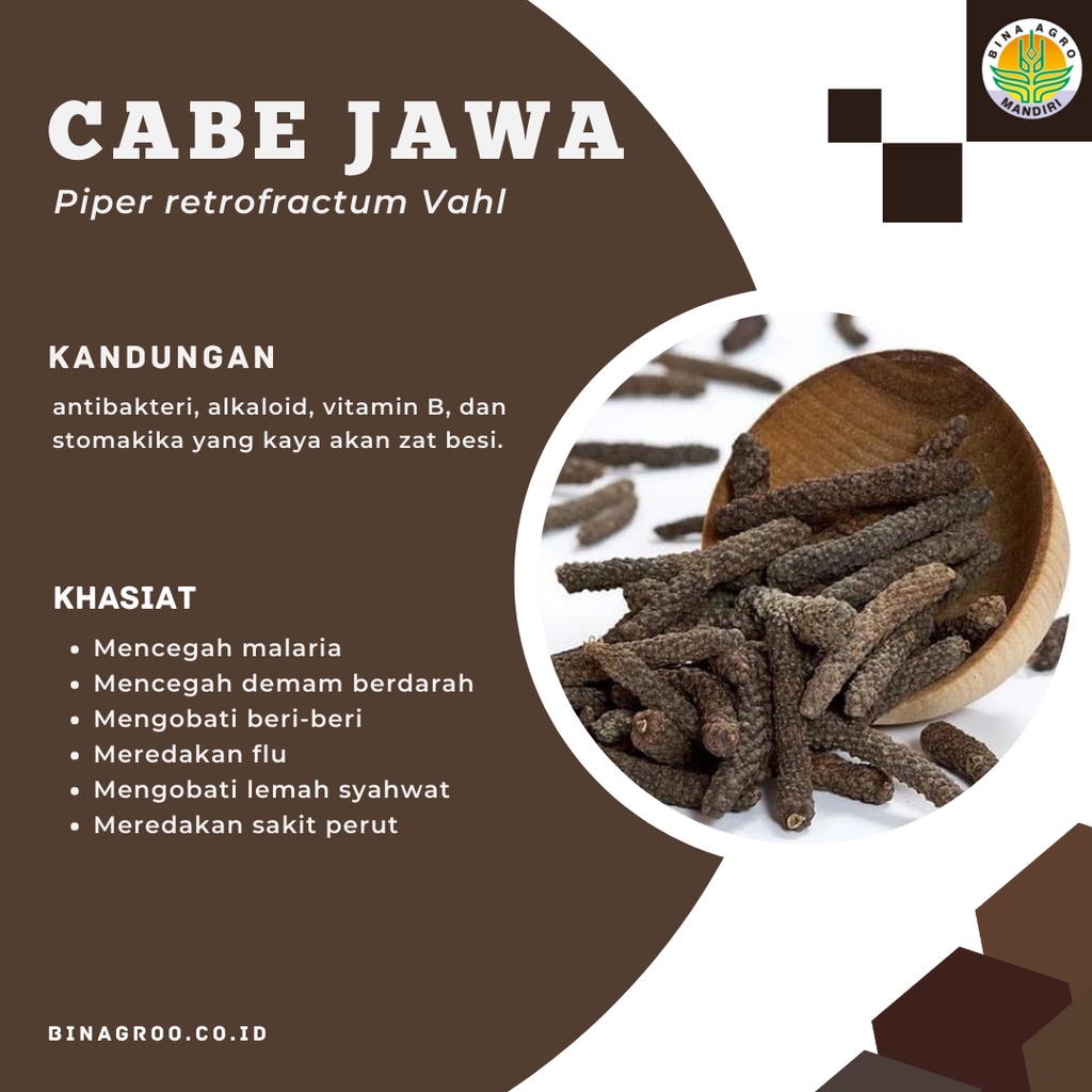 Jual CABAI JAWA Ekstrak Extract Jamu Cabai Jawa Murni Tanpa Campuran ...