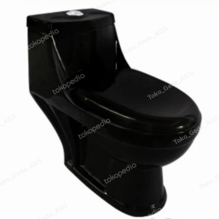 Jual Kloset Closet Duduk Triliun Monoblock Black | Shopee Indonesia