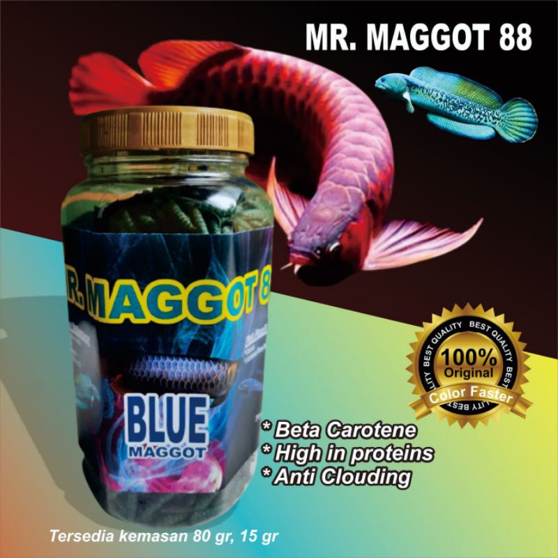Jual maggot super color full RED BLUE YELLOW 80gram pakan ikan predator ...