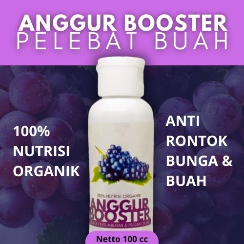 Jual Anggur Booster 100 cc / Pupuk Pelebat Buah Anggur / Pupuk Booster Pelebat Bunga dan Buah ...