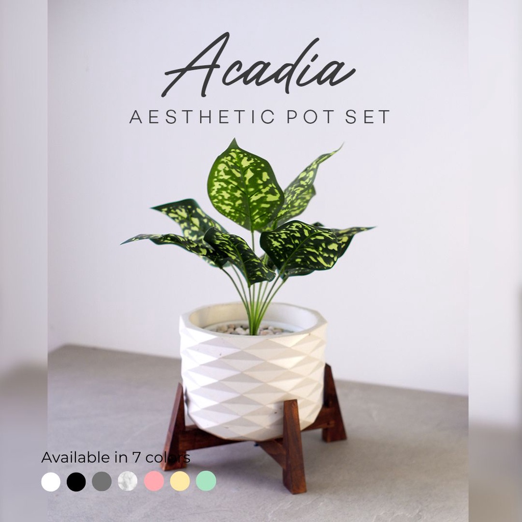 Jual CONCREATE LIVING Pot 17 Cm Acadia Home Decor 17 Cm Pot Aesthetic ...