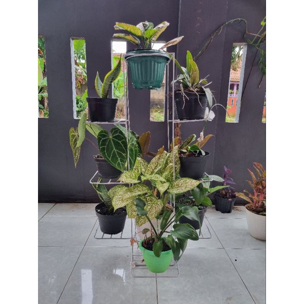 Jual STANDING POT BUNGA 10 IN 1/RAK BUNGA/POT BUNGA BESI | Shopee Indonesia