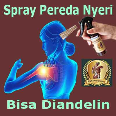 Jual obat encok pegel linu kaku tangan nga bisa angkat spray 15 men ...