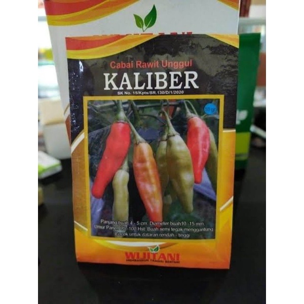 Jual Benih Cabe Rawit Merah Buah Lebat Kaliber 10Gram - Cap Wijitani ...