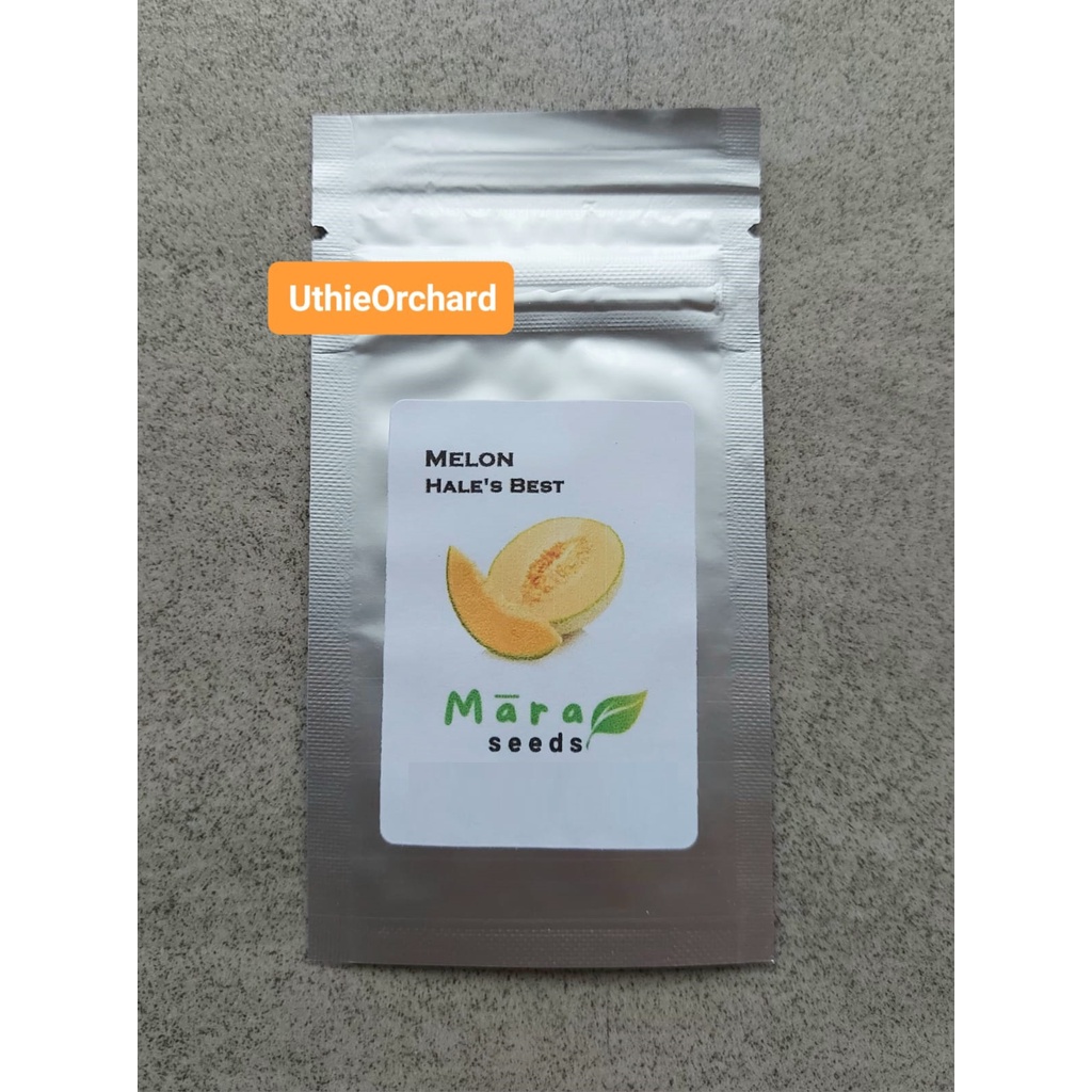 Jual Mara Seeds - Melon (Cantaloupe/Rock Melon) Hales Best (10 seeds ...