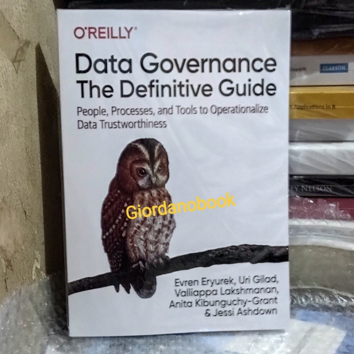 Jual Bci Buku Data Governance The Definitive Guide Shopee Indonesia