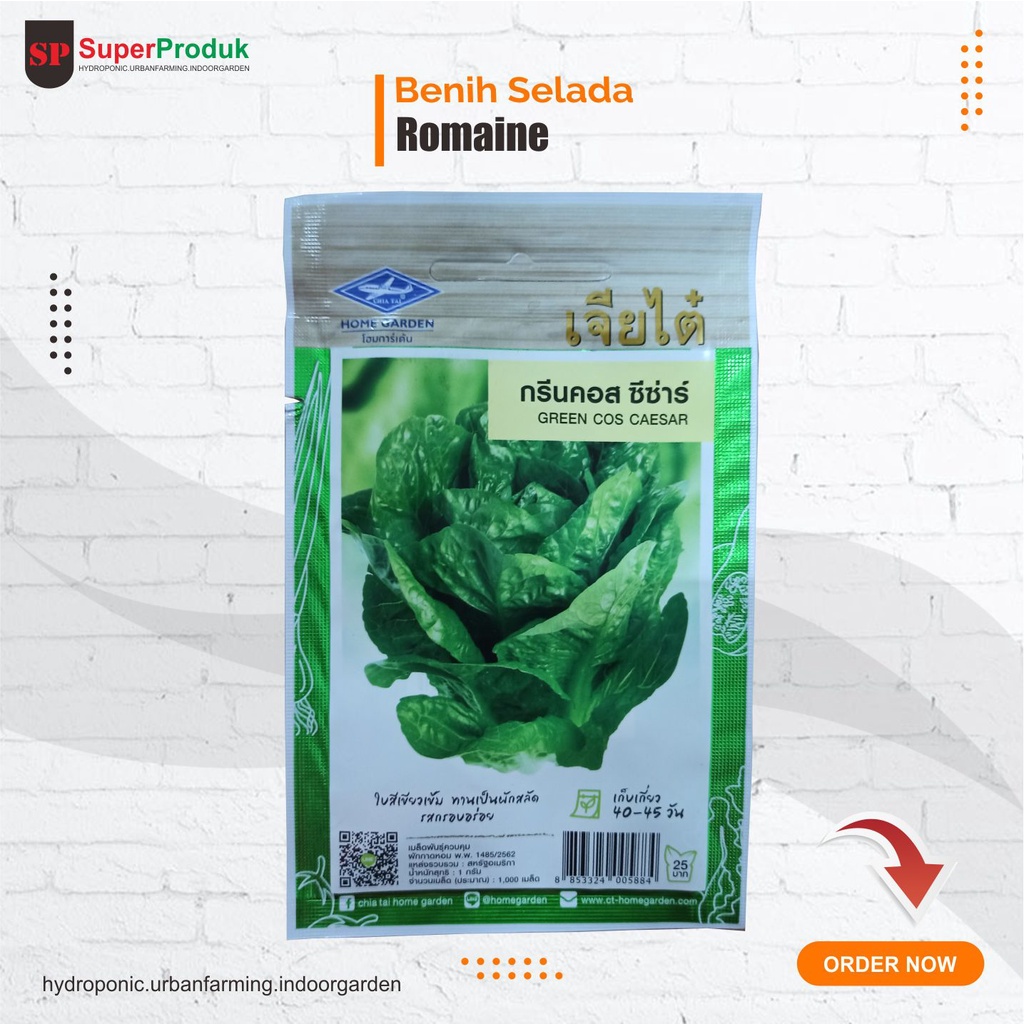 Jual Benih Selada Romaine Green Cos Caesar | Shopee Indonesia