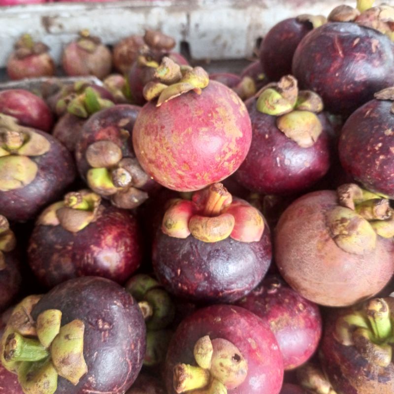 Jual Buah Manggis Fresh | Shopee Indonesia