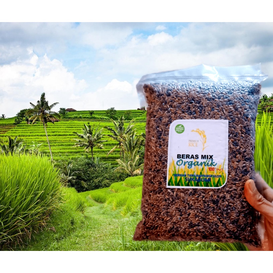 Jual Beras Mix Organik (Hitam - Merah - Coklat) 2 kg - Beras Mix ...