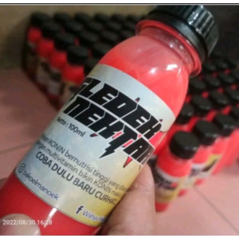 Jual Gledek nektar konin kolibri pleci sogon muncang nekstar pink ...