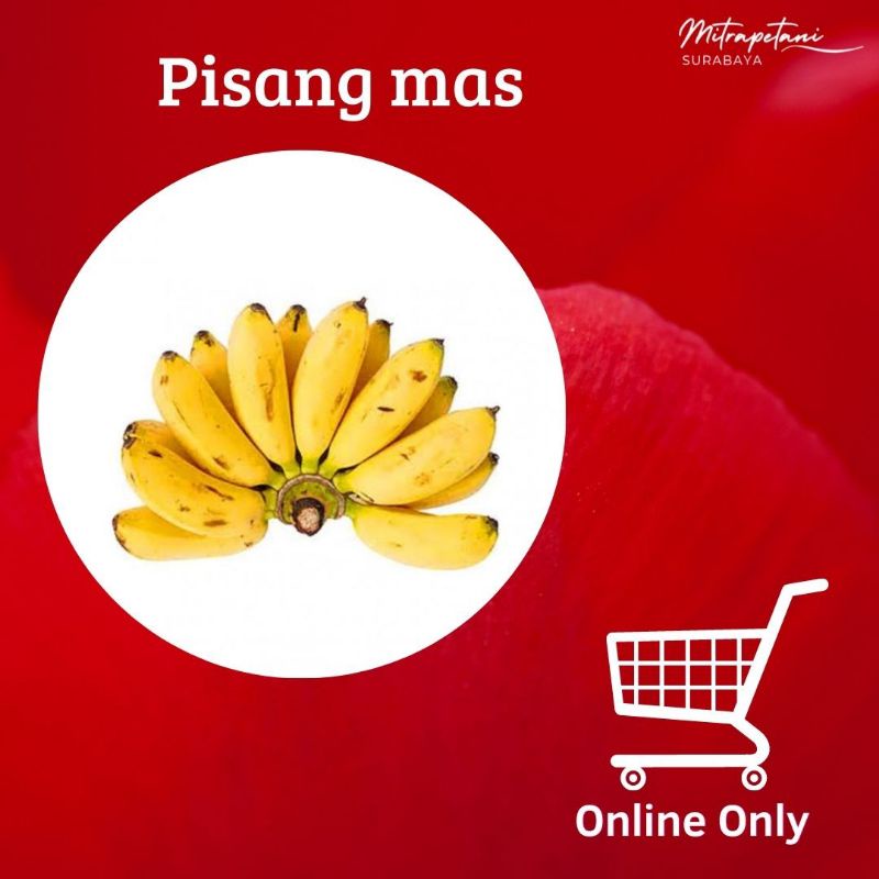 Jual pisang mas, pisang mas 1 sisir, pusang mas 1 cengkeh | Shopee ...