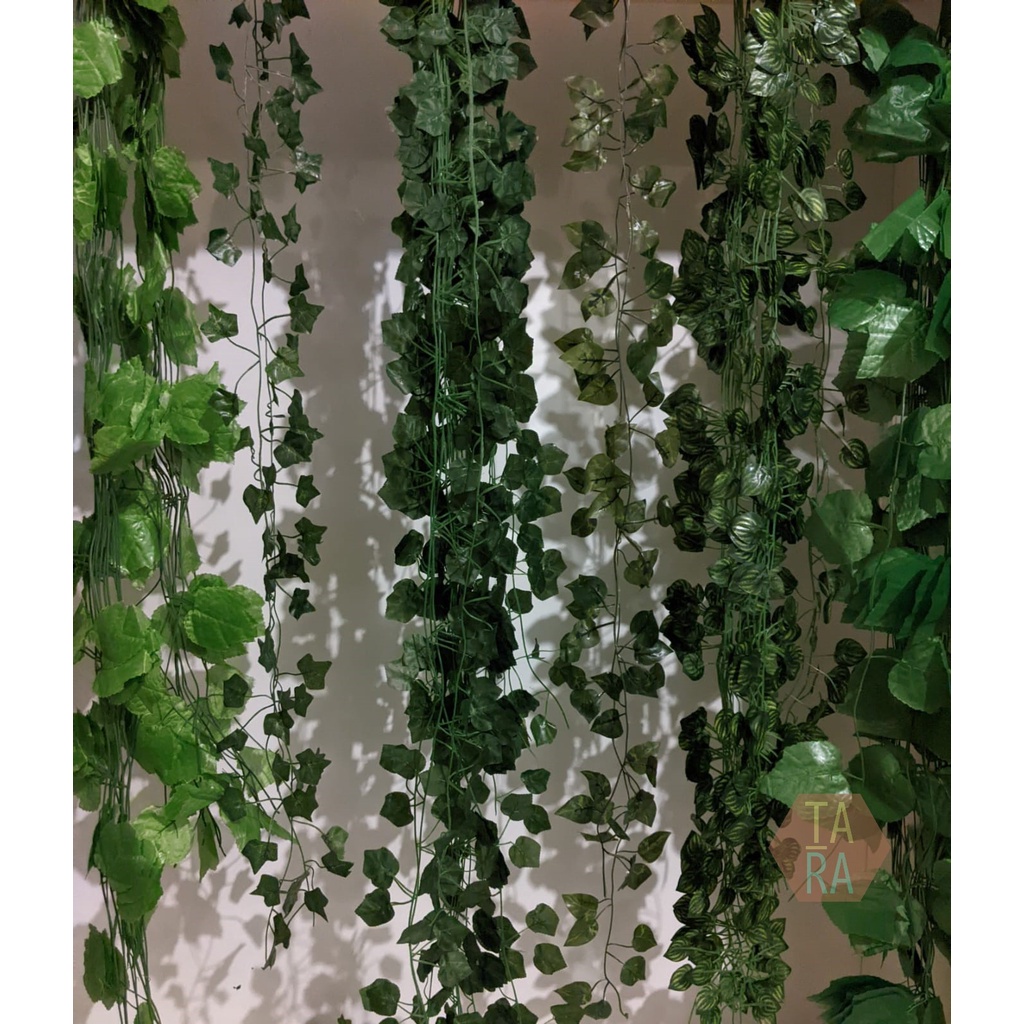 Jual Daun Rambat Palsu Dekorasi Ruangan | Shopee Indonesia