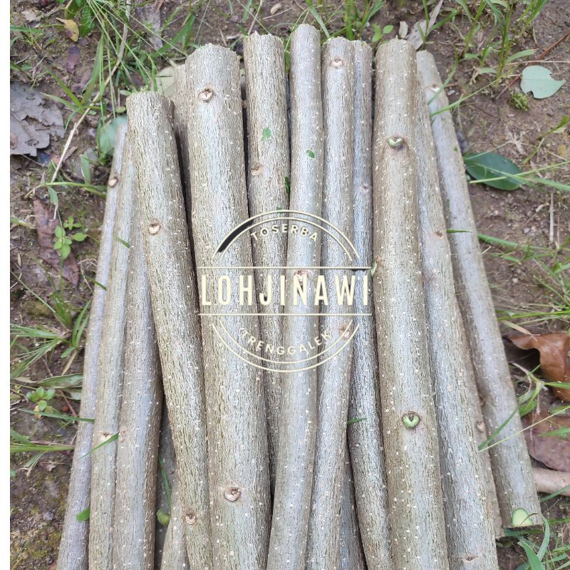 Jual Bibit gamal 1 meter diameter 2-5 cm 1 kg | Shopee Indonesia