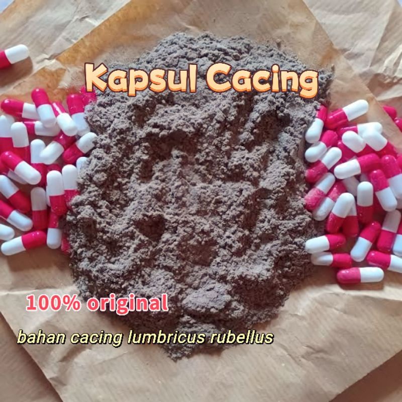 Jual Kapsul Cacing Kalung obat tipes/demam (bisa COD) | Shopee Indonesia