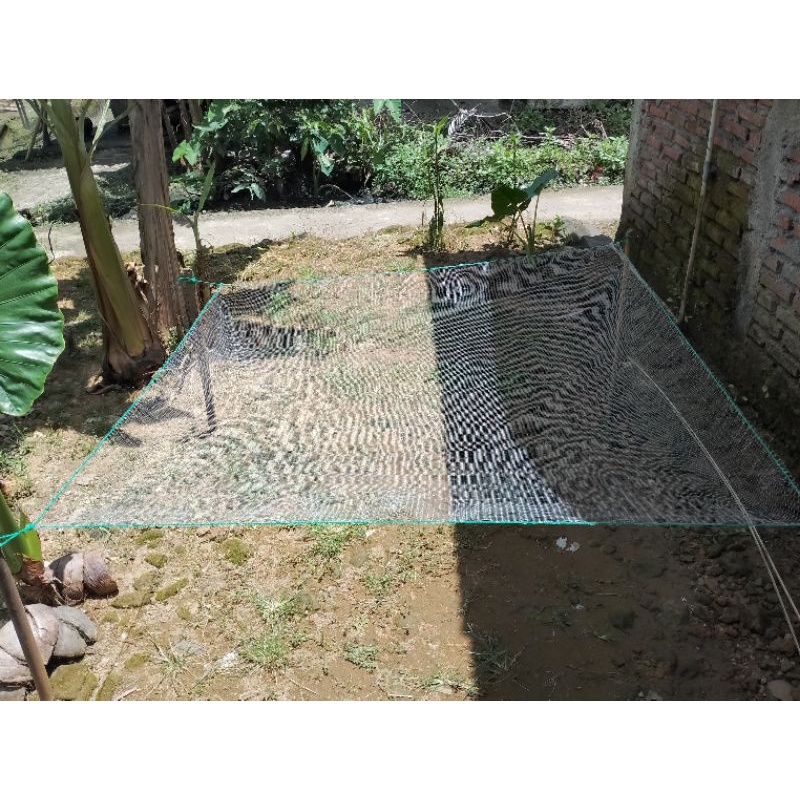 Jual Jaring anco udang / jaring sirib wader dan anakan ikan ukuran ...