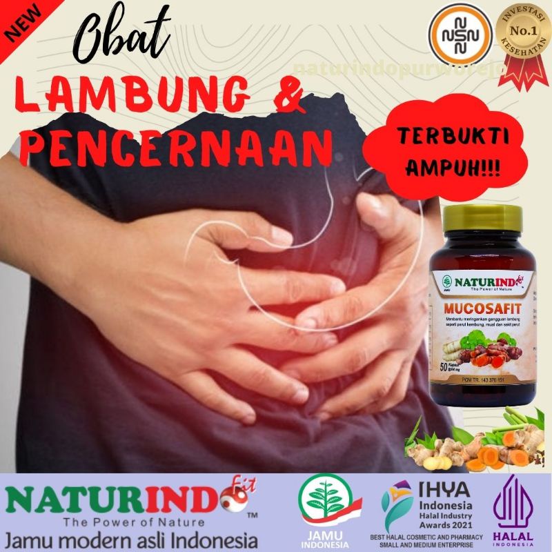 Jual Obat Herbal Lambung Asam Lambung Naik Gerd Kronis Pencernaan ...