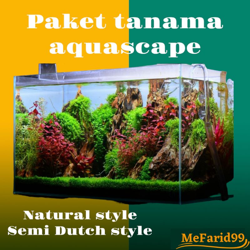 Jual Paket Tanaman Aquascape Natural Style Semi Dutch Style (Paket ... Jual Paket Tanaman Aquascape Natural Style Semi Dutch Style (Paket ...