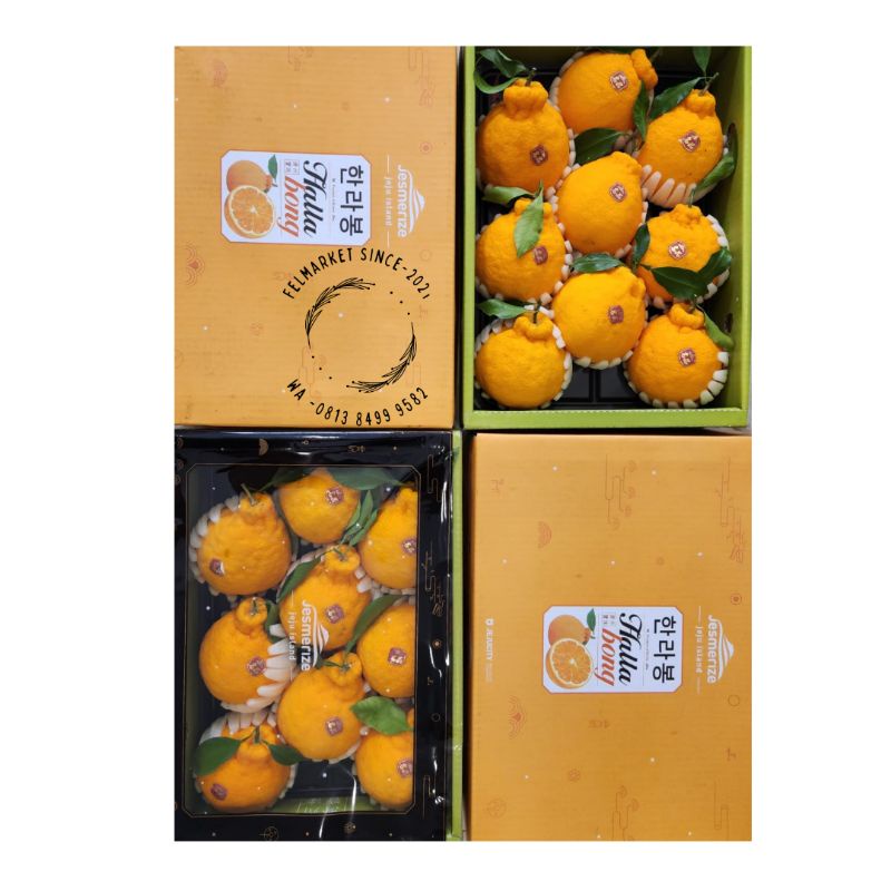 Jual Jeruk jeju orange Mandarin korea super manis | 1 box(berat 3 kg ...