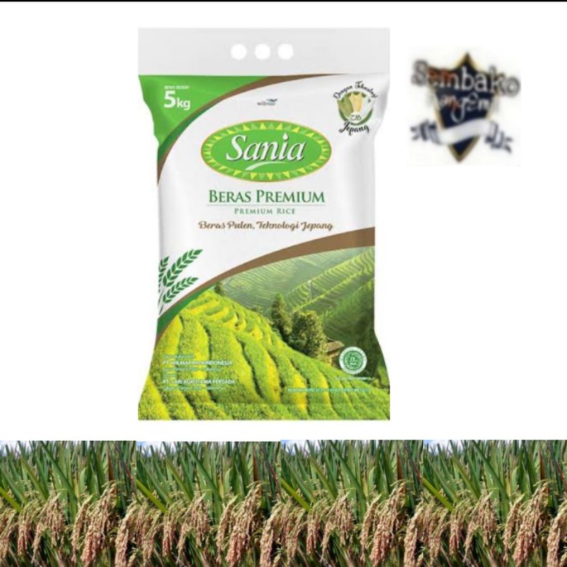 Jual Beras Premium Sania, 5kg, 5 Liter | Shopee Indonesia