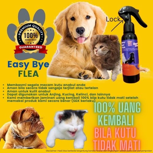 Jual Easy Bye Flea 100ml obat semprot kutu kucing obat semprot kutu ...