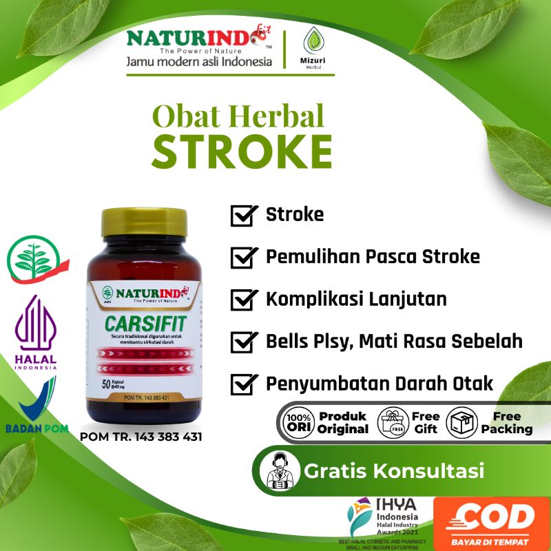 Jual Obat Stroke Ringan Obat Bells Palsy Stroke Wajah Ampuh Terapi ...