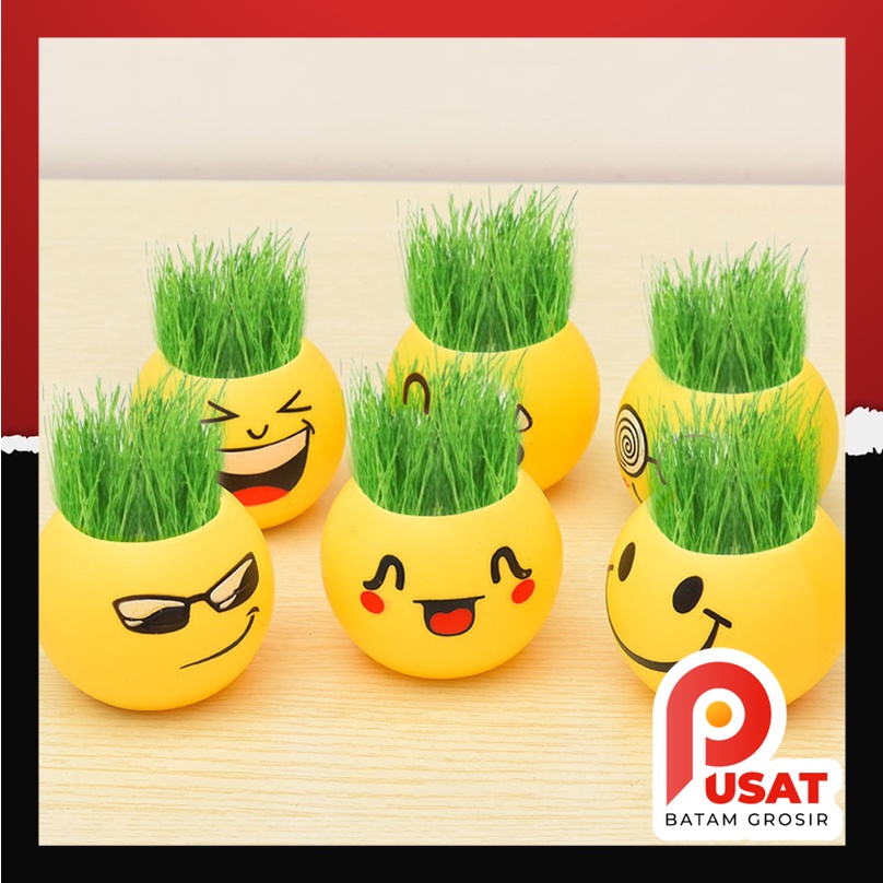 Jual Pusat Batam Grosir - 8074 Pot Emoji Emoticon / Tanaman Hias Rumput ...