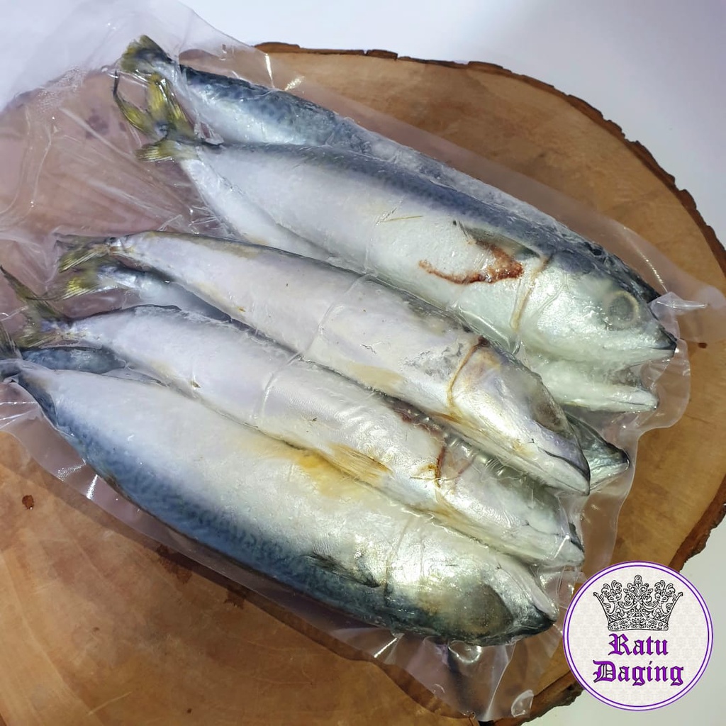 Jual Ikan Salem Segar 500gr | Shopee Indonesia