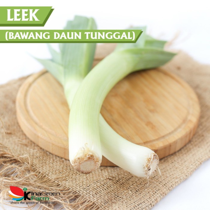 Jual Inagreen Farm Bandung Leek / Bawang Daun Prei / Bawang Daun ...
