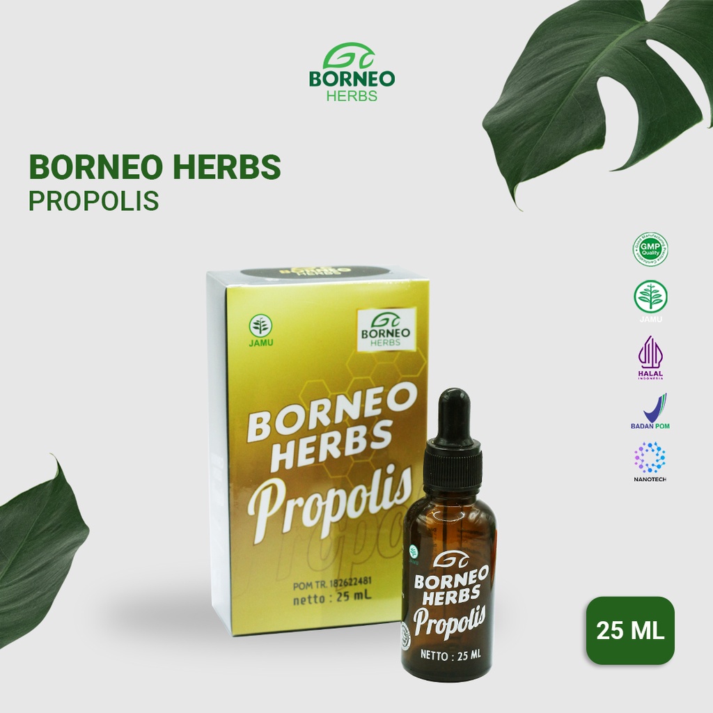 Jual Suplemen Herbal Propolis Borneo Herbs Halal MUI BPOM Asli 100% ...