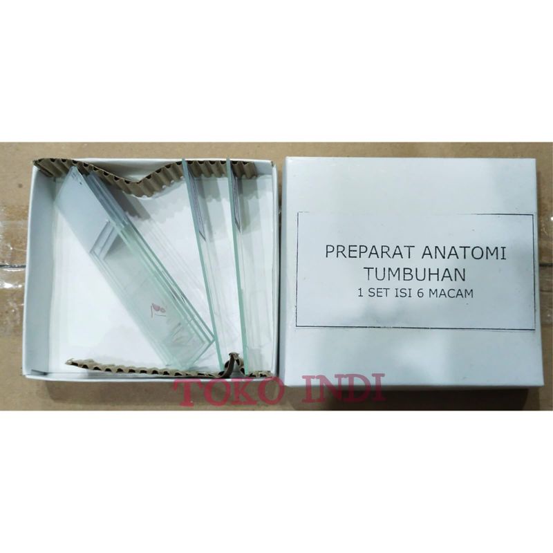 Jual Preparat Anatomi Tumbuhan 1 Set isi 6 Macam/Preparat Tumbuhan ...