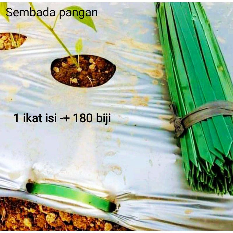 Jual Sujen penjepit plastik mulsa, panjang 35cm isi 1kg | Shopee Indonesia