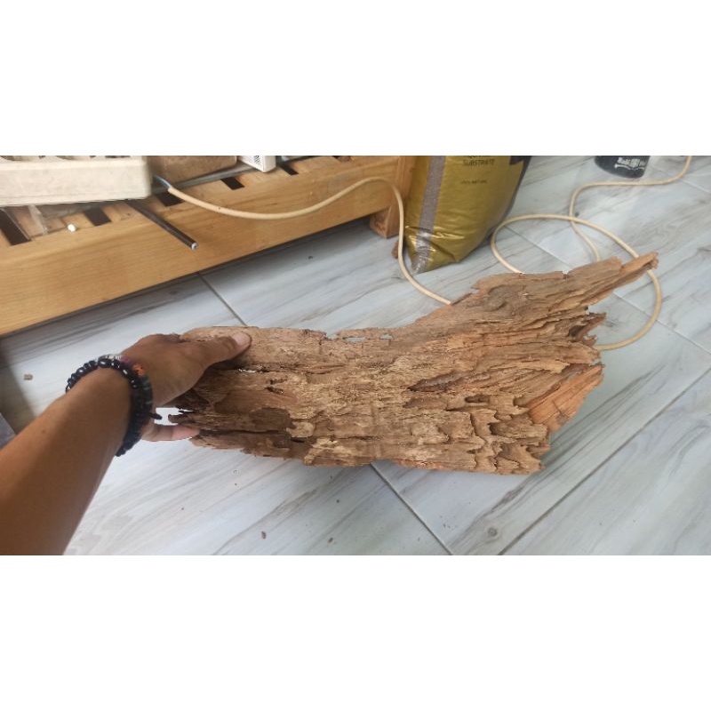 Jual kayu rentek aquascape | Shopee Indonesia