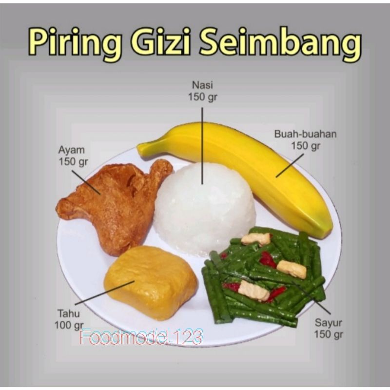 Jual food model piring gizi seimbang | Shopee Indonesia