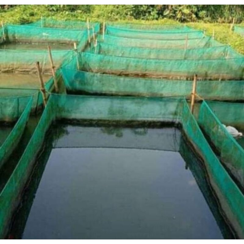 Jual Jaring Keramba ikan Ukuran 2mtr X 1mtr X 1mtr ( P X L X T ...