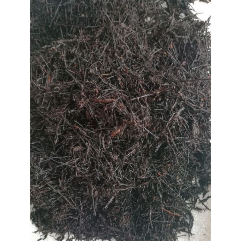 Jual media tanam pakis full fermentasi | Shopee Indonesia