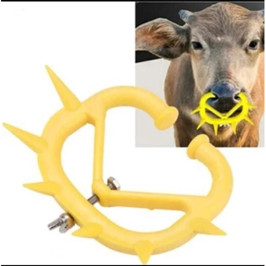 Jual Alat Sapih Anak Sapi, Kuda, Kerbau Cincin Duri Tinik Hidung Sapi ...
